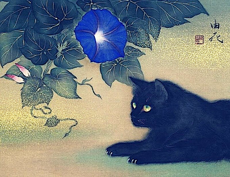 Cica ART: Yuka Taguchi - CiNYAU